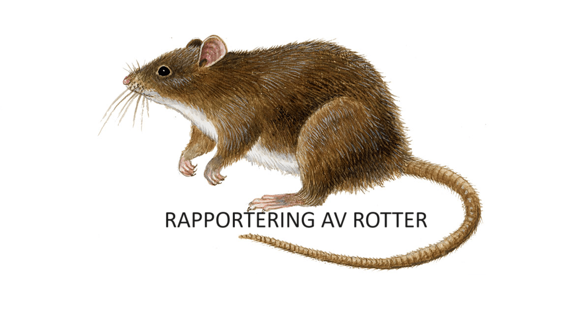 Rotter – Hamrelien Borettslag